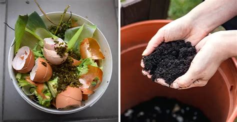 How To Easily Make Compost At Home The Beginners Garden