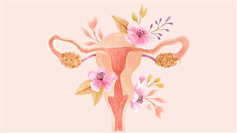 Impact Of Hpv Vaccination On Cervical Cancer Prevention And Control Onlymyhealth