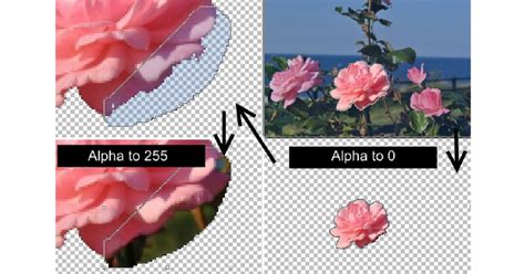 5 Essential Paint Net Plugins You Must Download In 2022