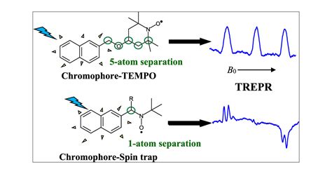 Design And Photo Induced Dynamics Of Radical Chromophore Adducts With One Or Two Atom