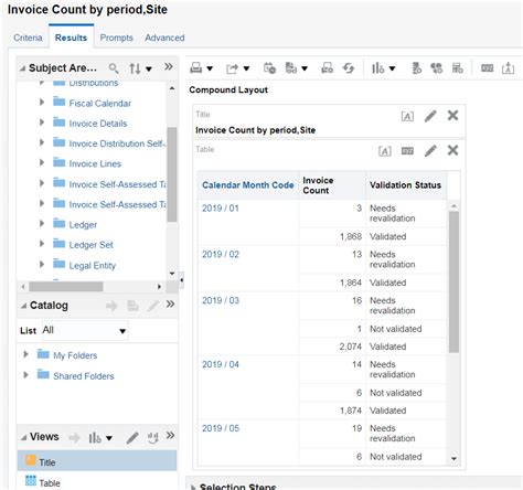 Need Help On Count Function In Otbi Analysis — Cloud Customer Connect