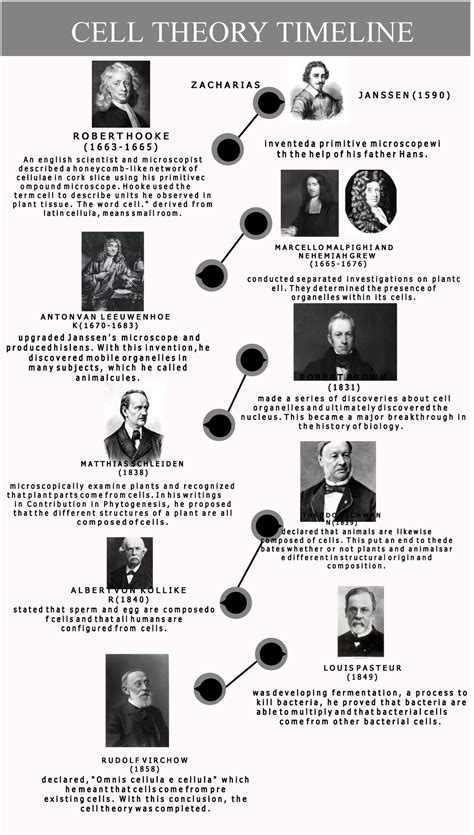 Cell Theory Timeline Test Basics Of Cells Cell Theory And Taxonomy