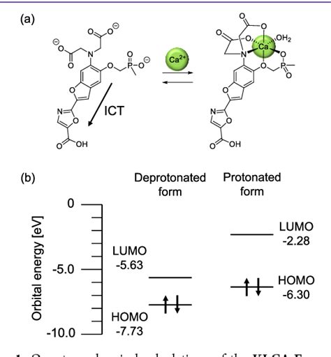 Figure 1 From Ratiometric Imaging For Quantification Of Elevated Ca2 In Neurons Using Synthetic