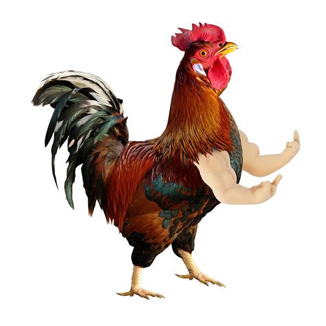 Chickens With Animated Arms