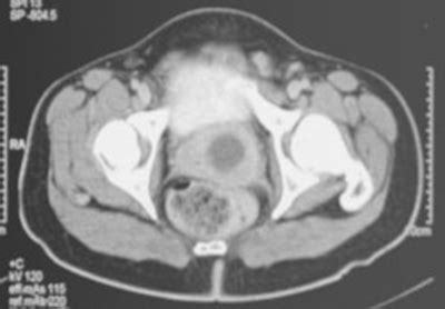 Internet Scientific Publications