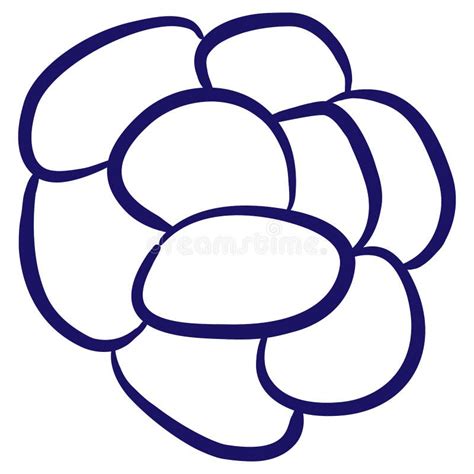 Subcutaneous Fat Cells Minimal Vector Icon Drawn With Brush Line Stock Vector Illustration Of