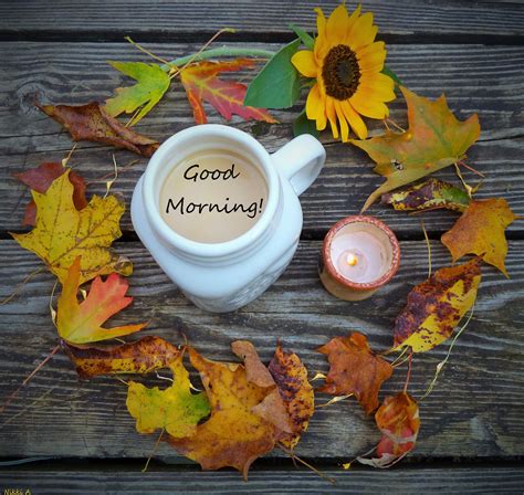Good Morning Images Fall Flowers At Olga Johnsen Blog