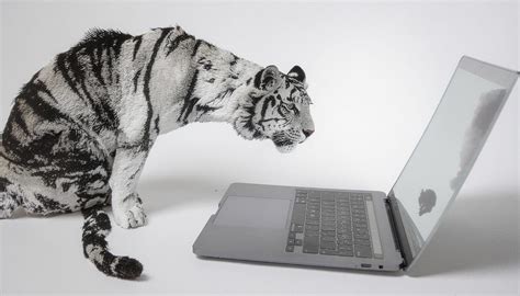 Solving ‘operation Not Permitted Error In Vscode On Macos By Yuzou