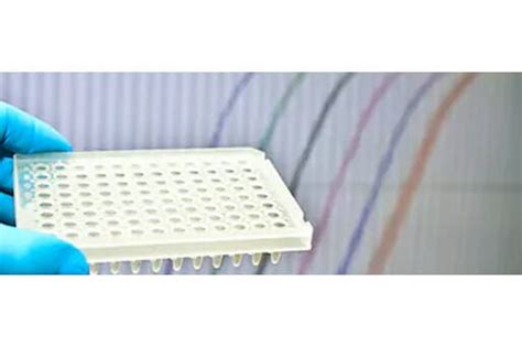 Massarray Systems For Cost Effective Snp Genotyping Labinsights