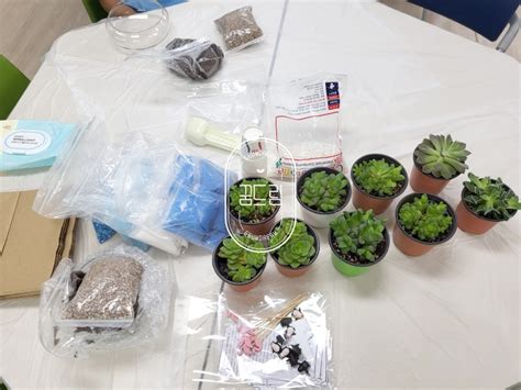 집단상담프로그램 원예치료미술향기 아로마테라피자존감향상자조모임교직원학부모연수사제동행힐링스트레스관리초중고교육청전북전주익산전국출강원예키트전국배송