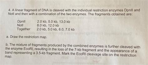 Solved 4 A Linear Fragment Of Dna Is Cleaved With The