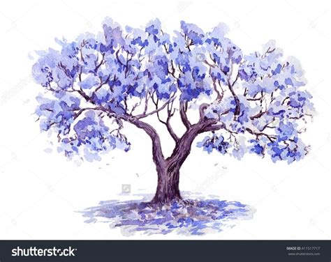 Google Search Watercolor Trees Tree Drawing Painting