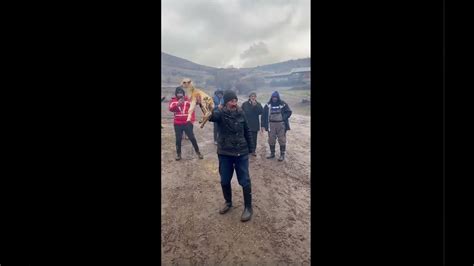 Болните от чума овце във Велинград раждат Гледайте от БАБХ Youtube