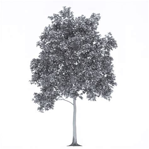 Archmodels Vol 250 3d Turbosquid 1744623