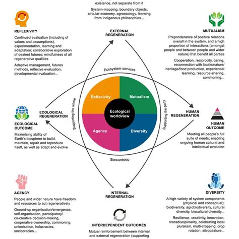 The Regenerative Lens Framework Summary Framework Of The Regenerative