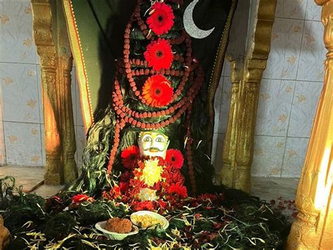 Jaipur News Update Sunderkand Poshbada Mahotsav At Tol Baba Ganesh