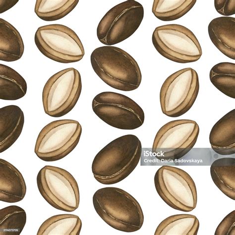 아르간 나무 씨앗의 완벽 한 패턴입니다 잎이 있는 갈색 아르간 너트 흰색 배경에 수채화 그림입니다 피부와 모발 관리 식품 및 미용의 비타민 포장용 템플릿 직물 갈색에 대한