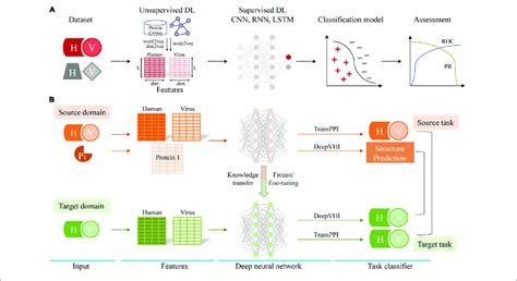 A Workflow Of Human Virus Ppi Prediction Covering Dataset