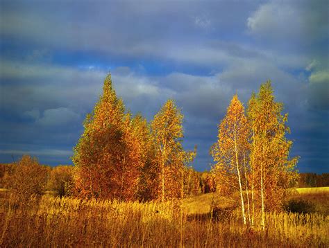 В багрец и золото одетые леса Alexey Ko Клуб