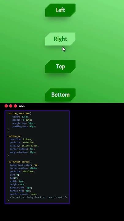 css men button hover animation coding webdesign webcoding programming shorts trending