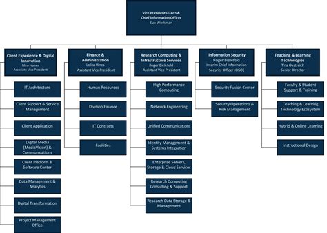 Organizational Structure University Technology U Tech Case