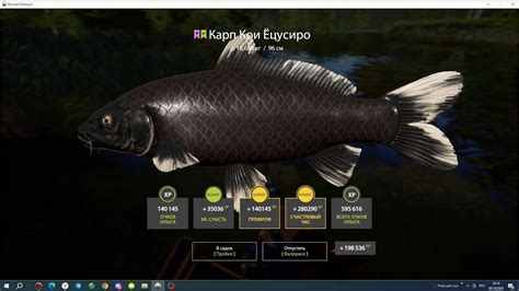 ПРОВЕРЯЕМ ФАРМ НА МЕДНОМ И ДРУГИХ ВОДОЕМАХ В РУССКОЙ РЫБАЛКЕ 4 СТРИМ РОЗЫГРЫШИ РР4 Youtube