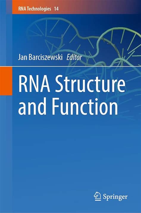 Messenger Rna Structure And Function
