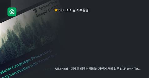 조조님의 생생한 수강평 예제로 배우는 딥러닝 자연어 처리 입문 Nlp Wit 인프런 수강평