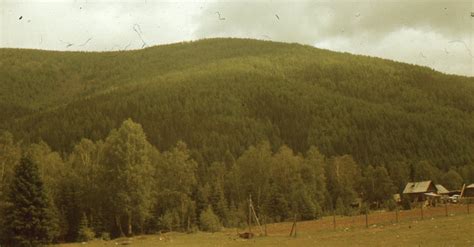 경치 경치 좋은 전망 경치가 좋은 고요한 고요함 골짜기 광야 그림 같은 나무 나무 줄 나무가 우거진 지역 녹지 농촌 풍경 도로 표지판 들판 때묻지