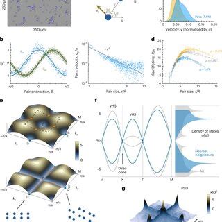 Hydrodynamic Pairing In Disordered And Ordered Phases A The Download Scientific Diagram