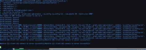 Time Out When Lauching Distributed Training Questions Deep Graph