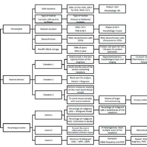 Recommendations For Solid Tumors Tissue Management Download