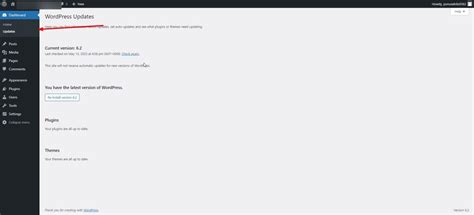 How To Fix Wordpress Automatic Updates Not Working Solved Aditya R