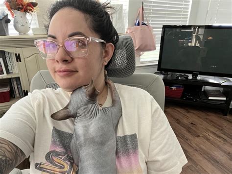 Im Trying To Work And Am Getting Mauled R Sphynx