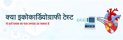 क्या इकोकार्डियोग्राफी टेस्ट से हार्ट ब्लॉक का पता लगाया जा सकता है गणेश डायग्नोस्टिक