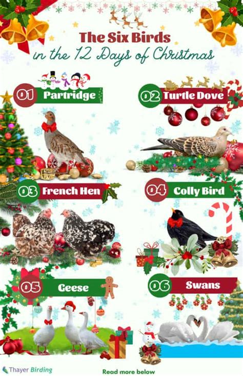 How Many Birds Are In The 12 Days Of Christmas Answered