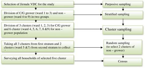 Multi Stage Sampling Strategy Download Scientific Diagram
