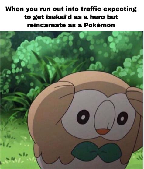 Confusion Pokemon Meme