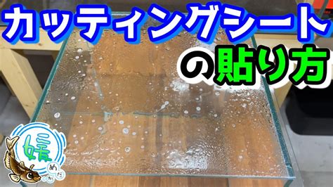 水槽用のカッティングシートの貼り方（バックスクリーン）＆ドアを壁にして棚にしてみた【媛めだか メダカのための水槽部屋計画】 Youtube