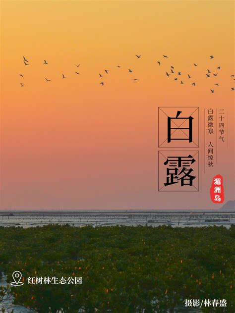 白露到，莫负湄洲好秋色