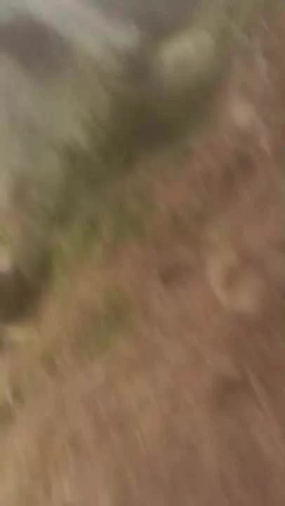 Gat Sex Im Freien Im Wald Xhamster