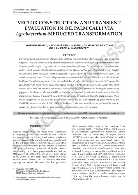 Pdf Vector Construction And Transient Evaluation In Oil Palm Calli Via Agrobacterium Mediated