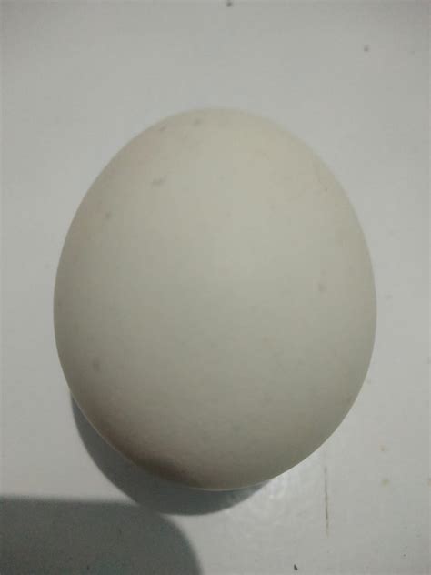 Ujian Akhir Semester Pcb Object Detection Dataset And Pre Trained Model By Uas Pcb