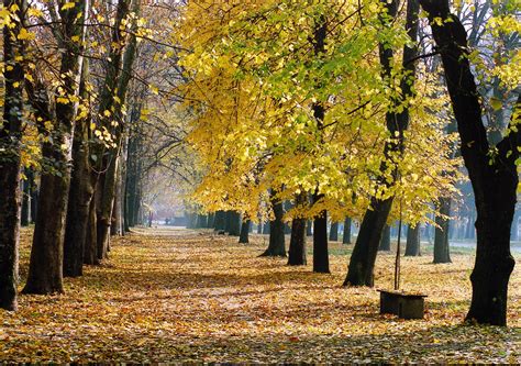 Ердевик Општина Шид