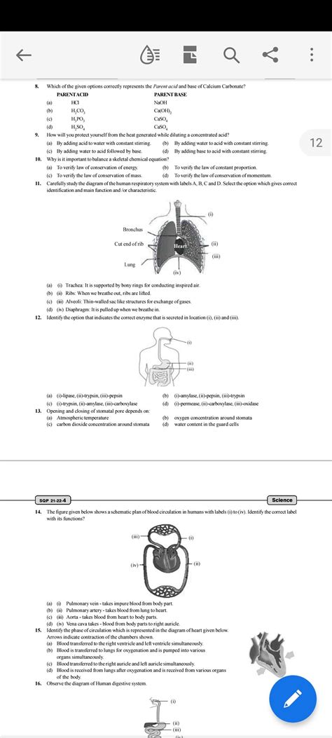 Test 1 Mathematics And Science Assignment Teachmint