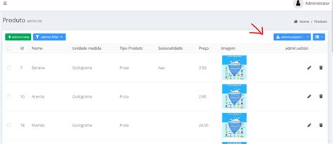 How To Use Dompdf With Open Admin · Issue 104 · Open Admin Orgopen
