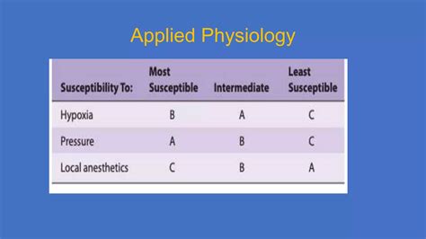 Nerve Classification Pptx