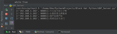 《python 黑帽子：黑客与渗透测试编程之道》笔记一 知乎