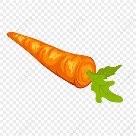 손으로 그린 당근 클립 일러스트 아트음식 Png 일러스트 무료 다운로드 Lovepik