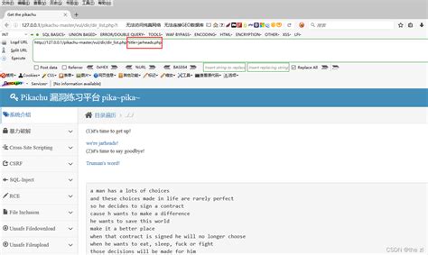 Web安全—目录遍历漏洞and数据包分析（持续更新）遍历目录漏洞 Sitemaptxt Csdn博客